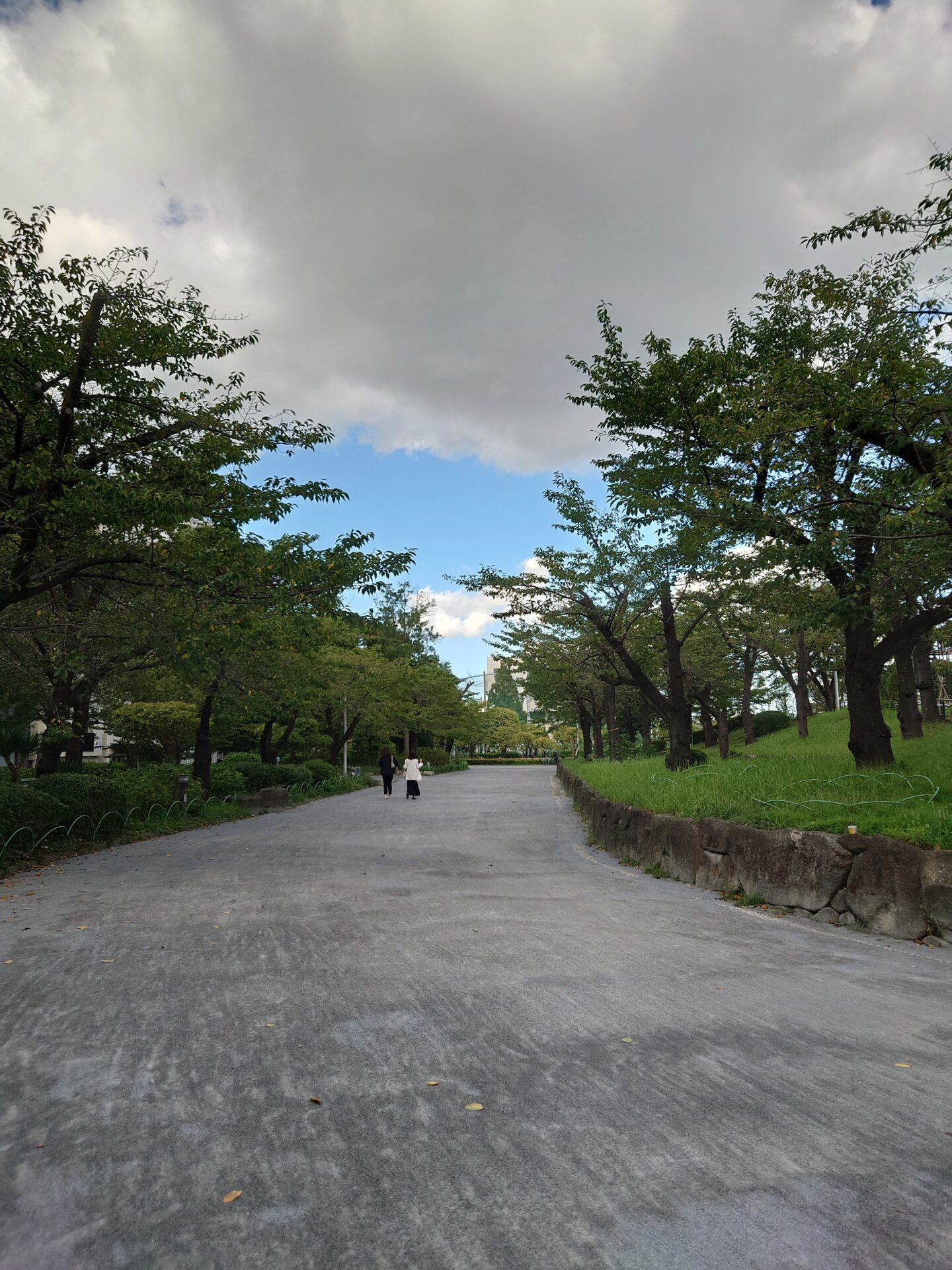 Sumida Park（隅田公園） – Travel Advisor